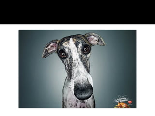 Advertising Design Elements.ppt for Integrated Marketing Communication | PPT