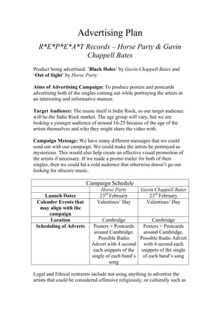 Advertising Plan | PDF | Business | Business and Finance