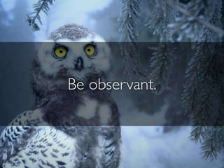 ADVICE FROM AN OWL | PPT
