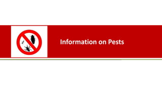 Advisory pest control | PPTX