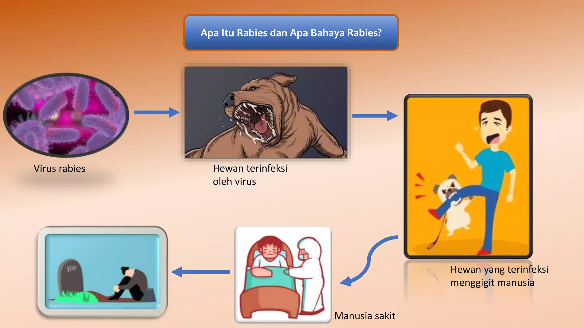 ADVOKASI RABIES MEDAN TUNTUNGAN (4).pptx