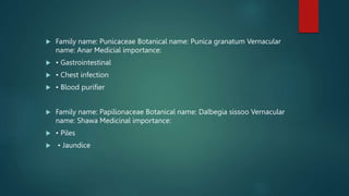 Advanced pharmacognosy M pharm sem 2 | PPTX
