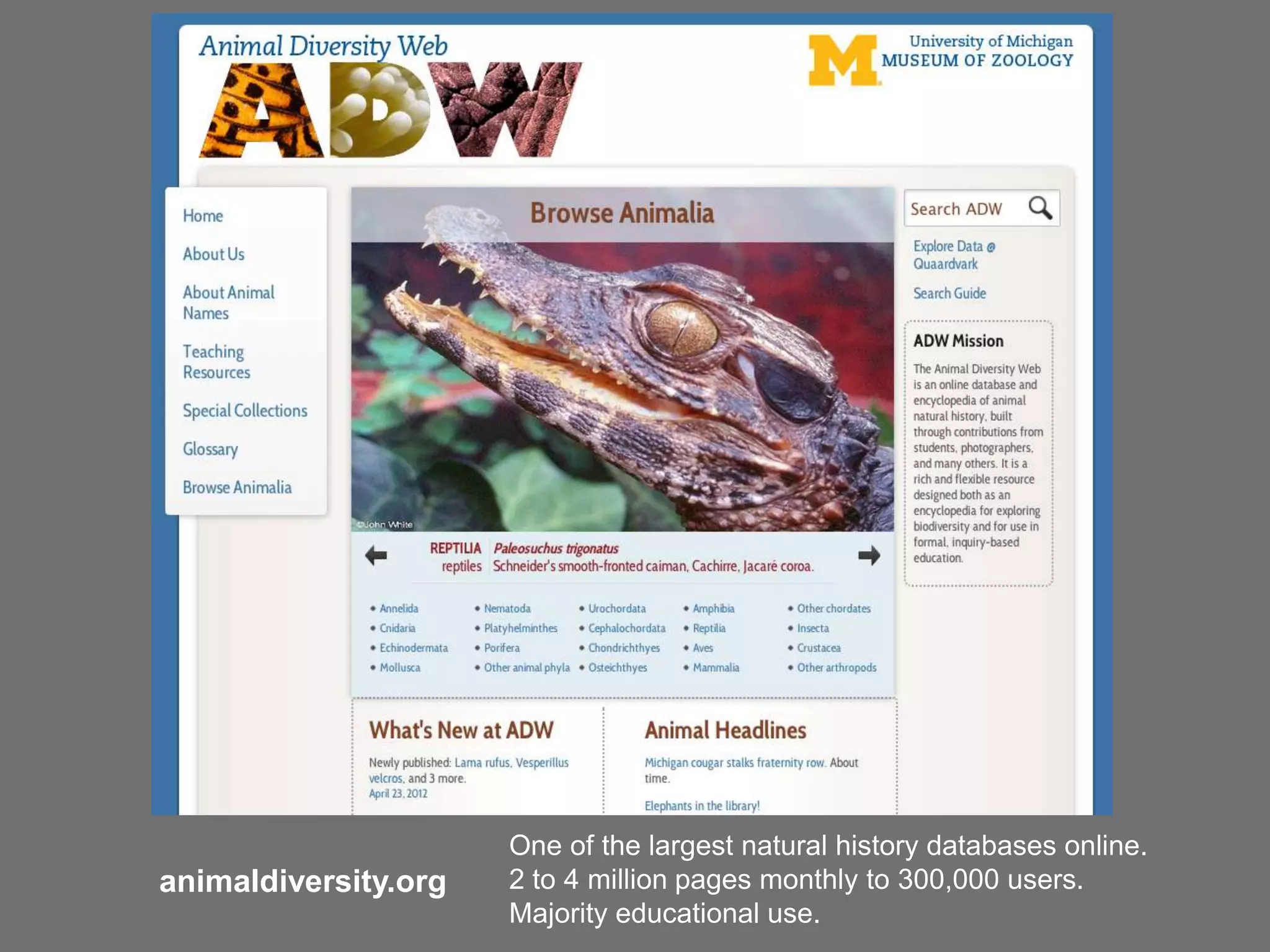 Animal Diversity Web - building and using the database | PPTX ...
