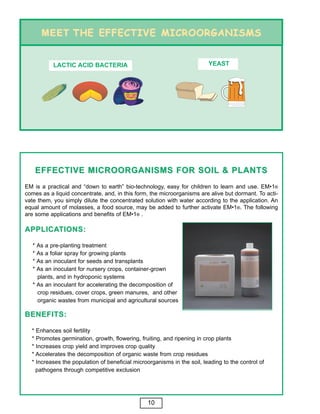 EM Teacher’s Manual | PDF