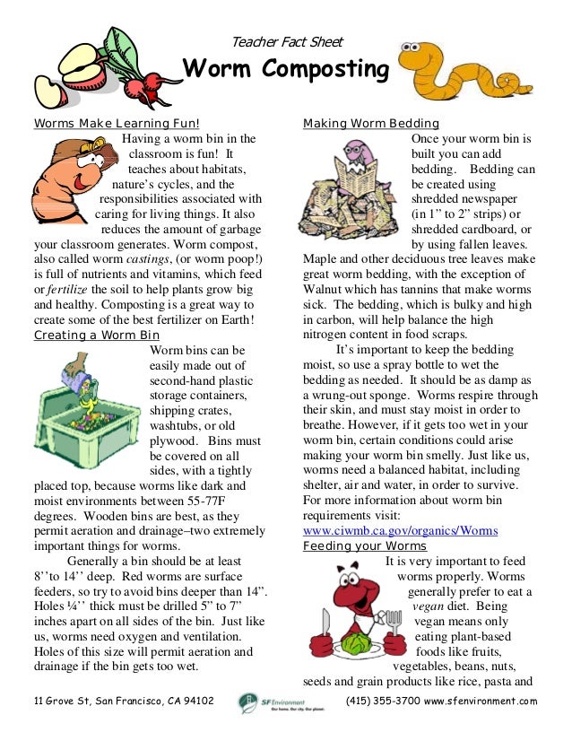 Teacher Worm Composting Guide