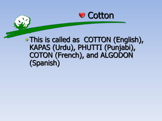 Production of COTTON in Pakistan from 1947-2017 | PPTX