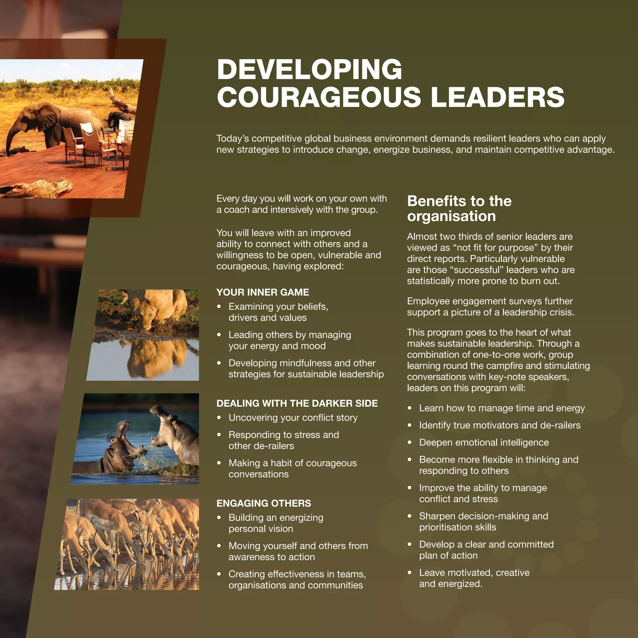 Campfire Conversations Brochure | PDF