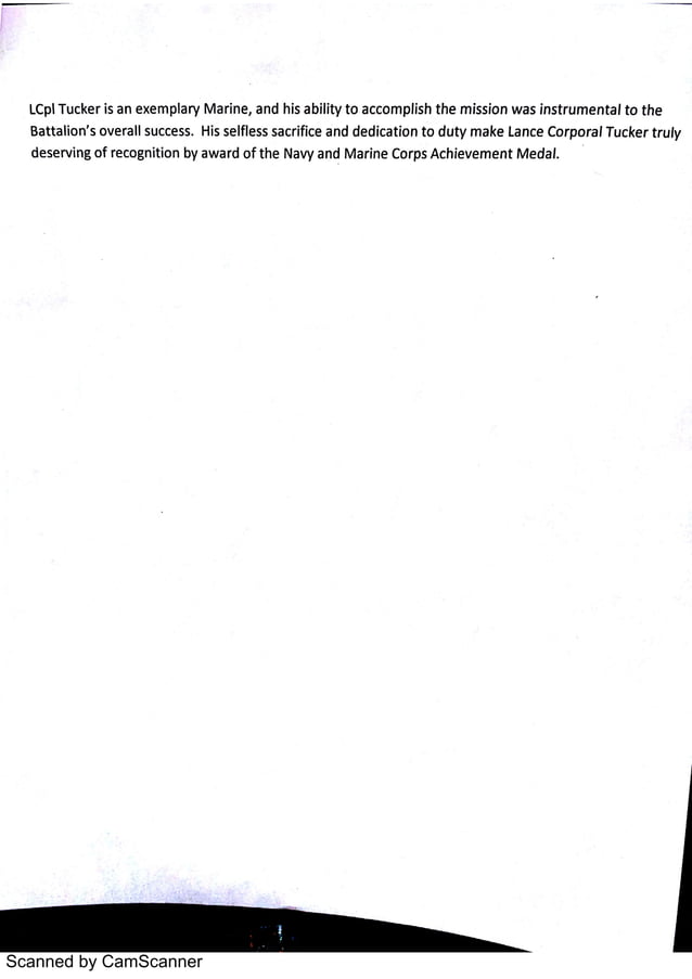 Summary of Action-NAM | PDF