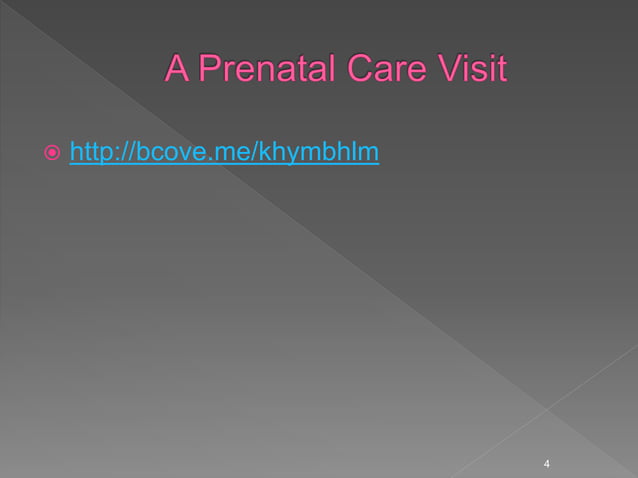 Prenatal Care Powerpoint | PPTX | Pregnancy | Reproductive Health