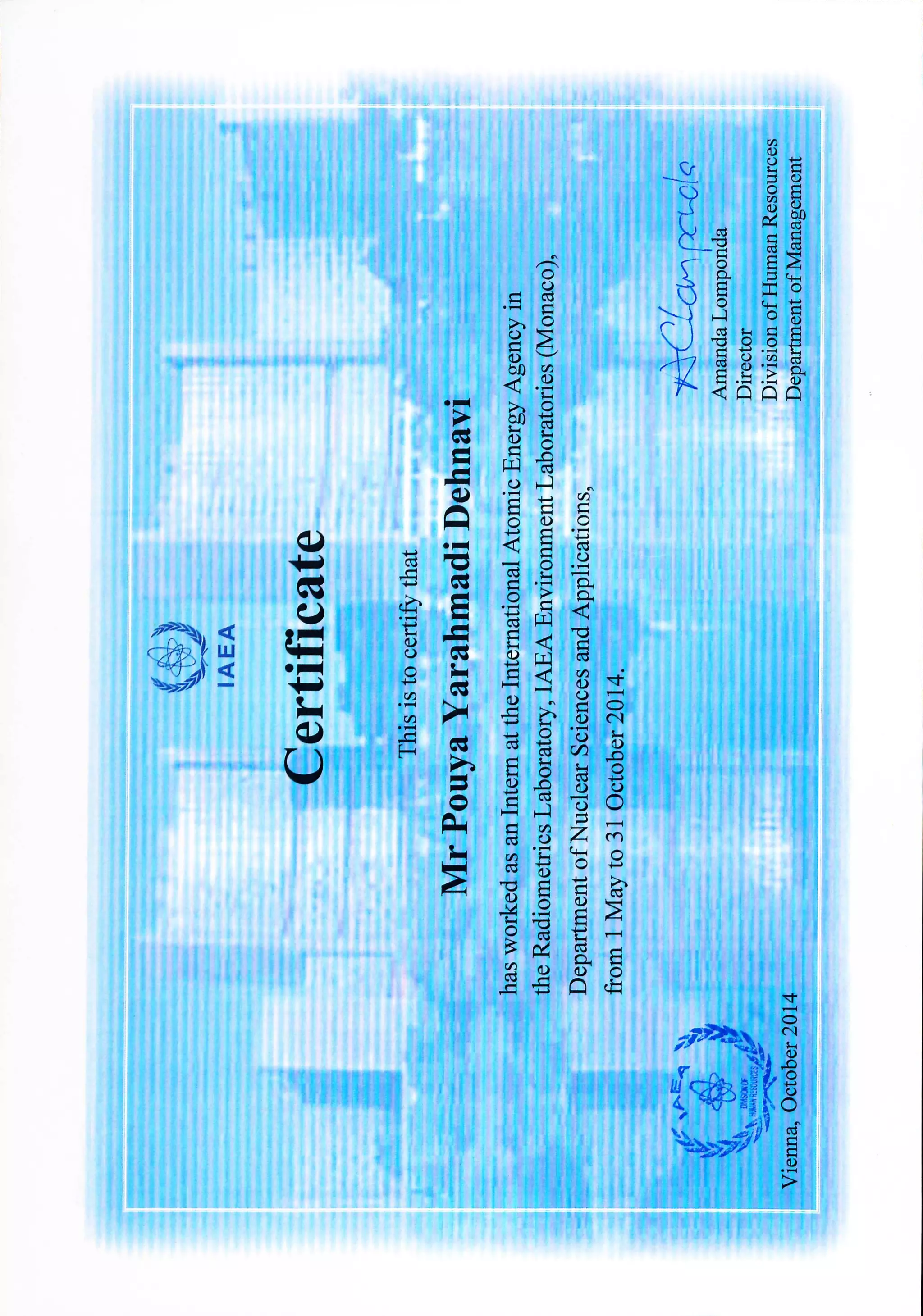 IAEA certificate | PDF