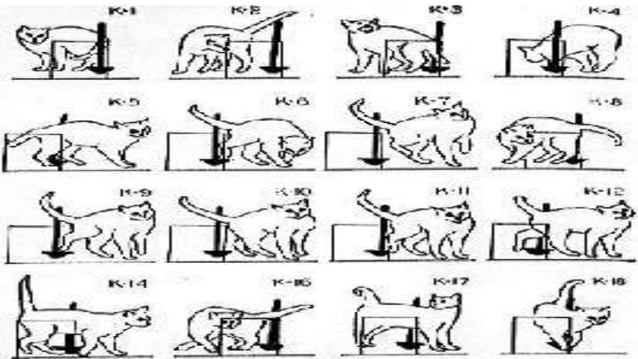 GUTHRIE’S CONTIGUOUS CONDITIONING | PPT