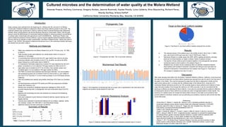 Capstone Template.pptx