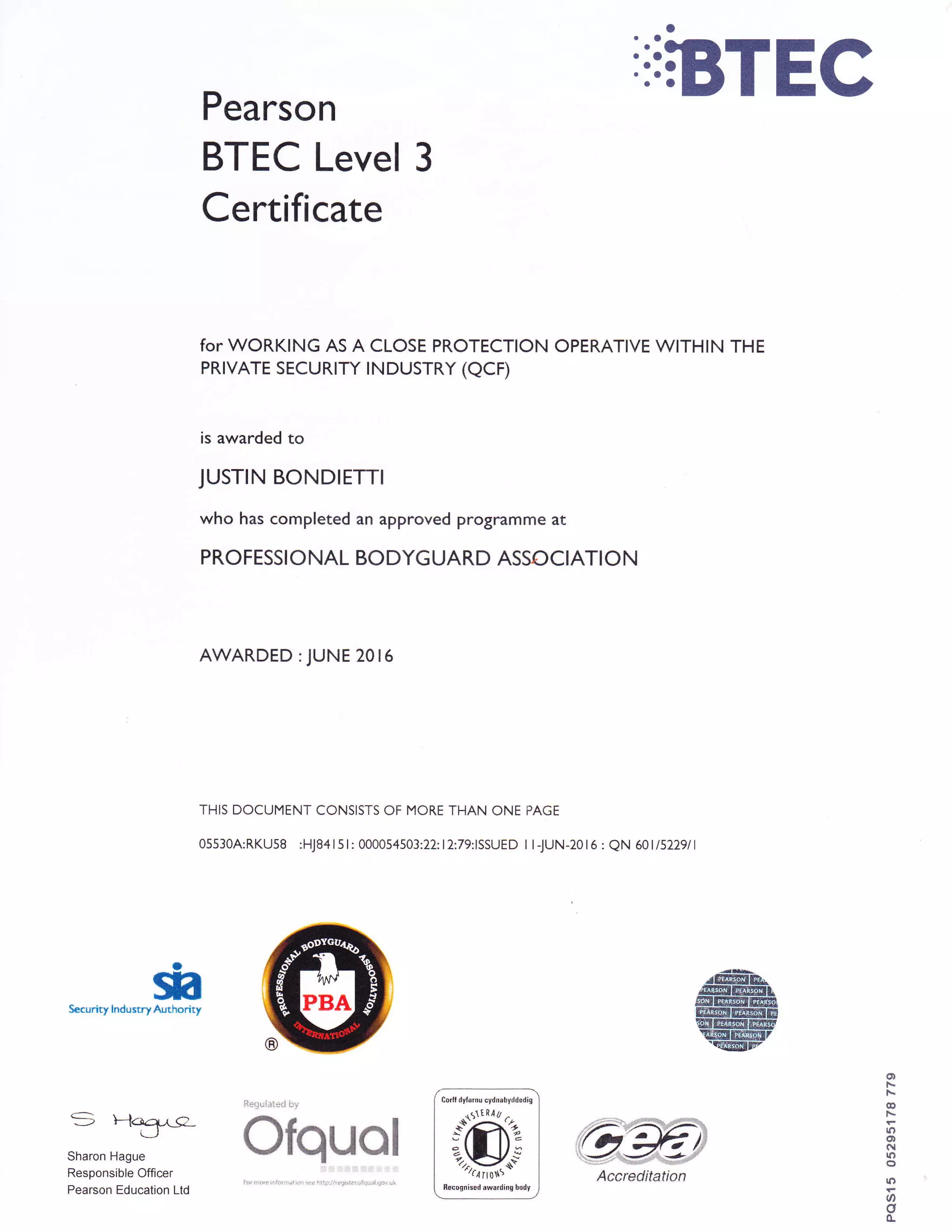 Level 3 Close Protection Certificate | PDF