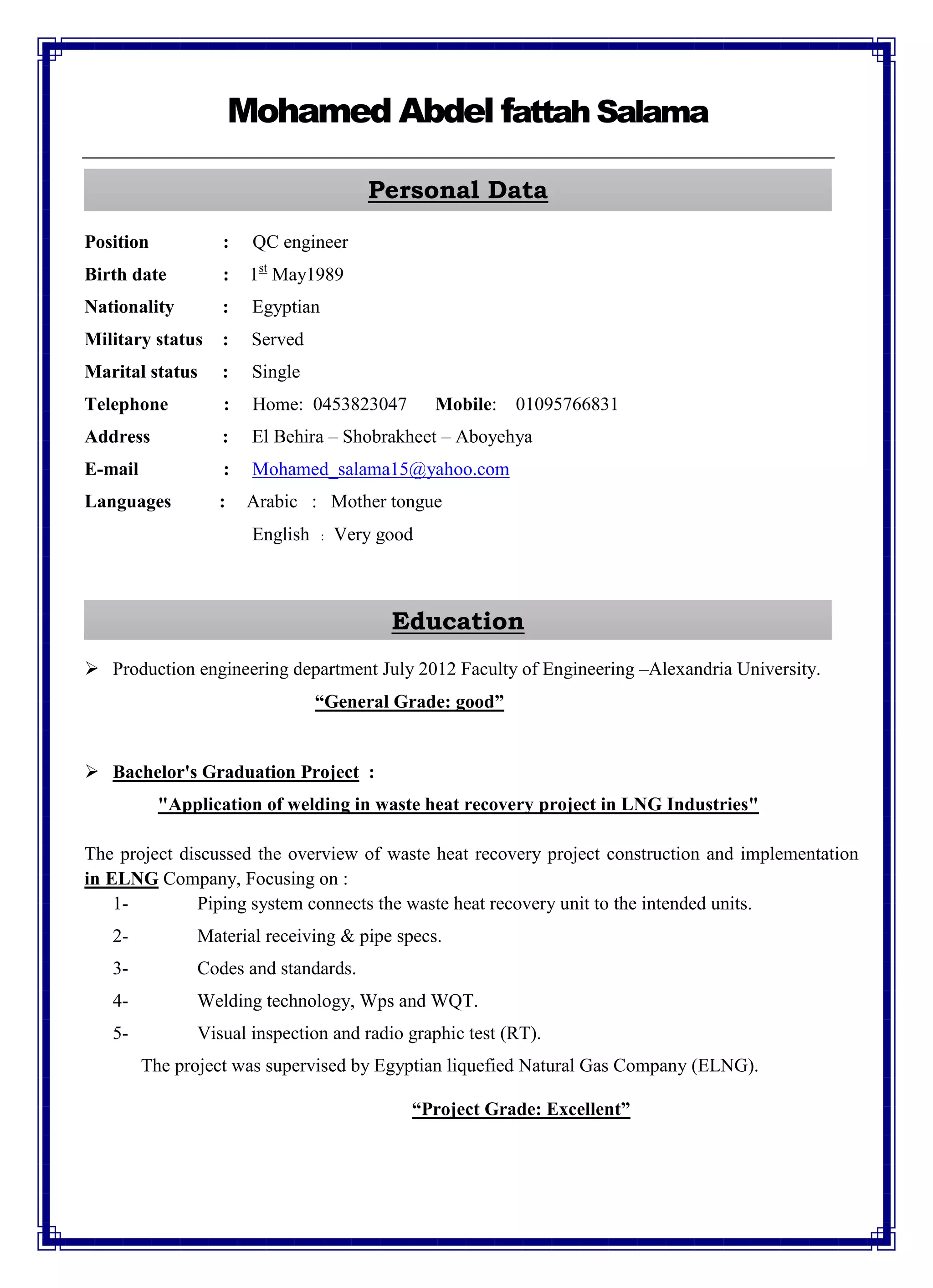 Mohamed Abdelfatah Cv | PDF