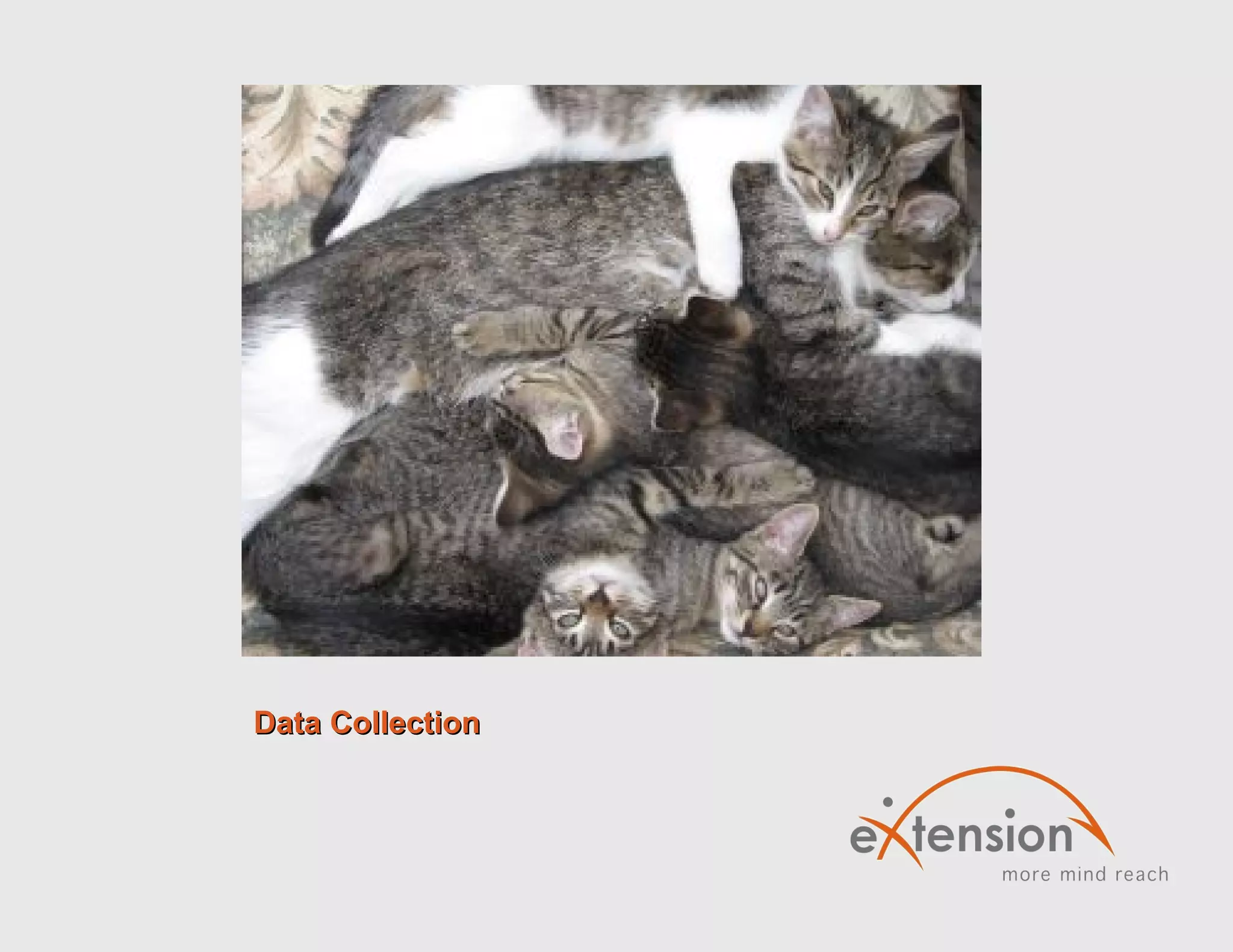 Using a Developmental Approach to Evaluating Innovative Extension ...