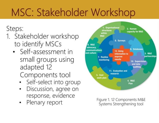 Measuring National M&E System Strengthening in Nigeria: Application of ...