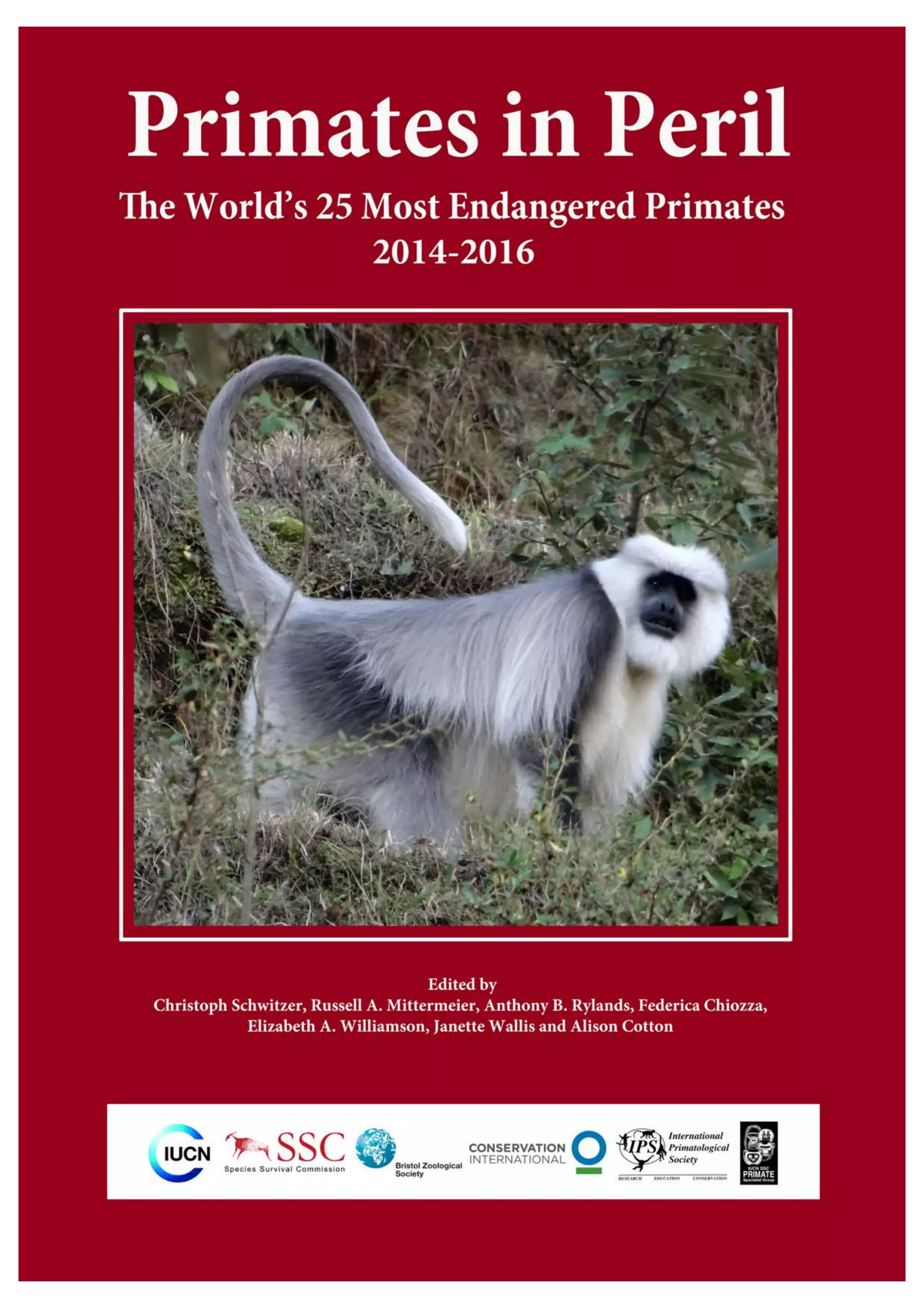 Primates_in_Peril_2014_2016_Aguariba_Ckaapori (1) | PDF
