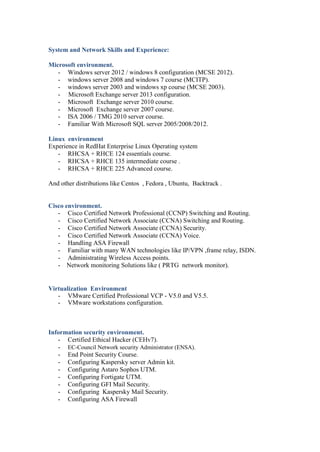 IT_System_Network_Engineer_CV_U | PDF