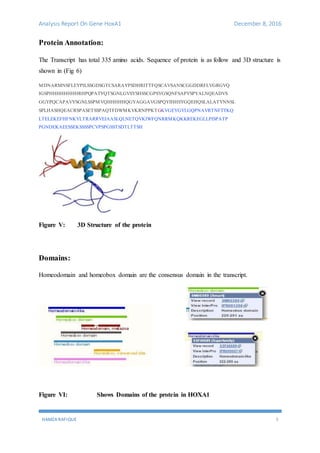 HoxA1 By Ensembl 2 | PDF