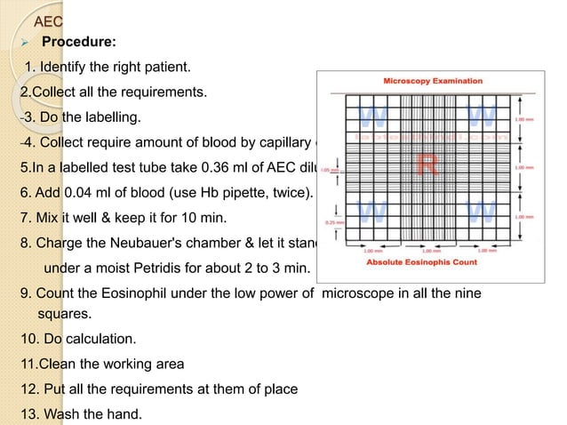 AEC COUNT | PPTX | Blood Disorders | Diseases and Conditions