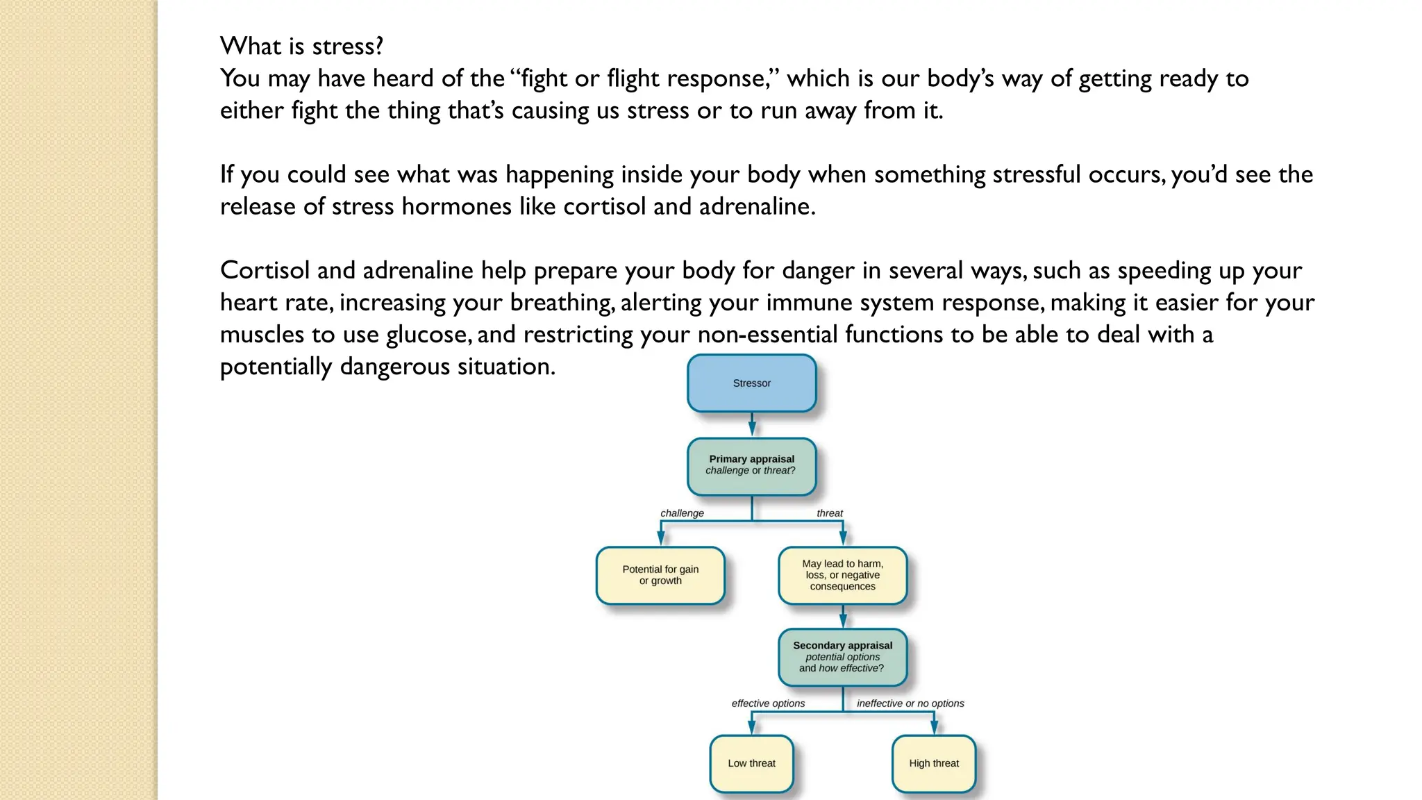 Emotional skills which will make us mentally strong | PDF
