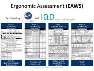 AEC 2018 Ergonomic Recovery Model | PDF