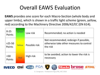 AEC 2018 Ergonomic Recovery Model | PDF