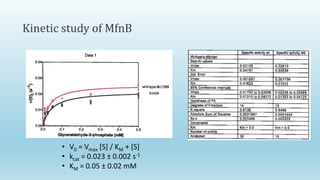 Methanofuran_Biosynthesis-Jones | PPT