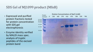Methanofuran_Biosynthesis-Jones | PPT