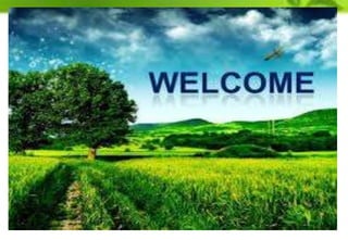 AEC presentation.pptx