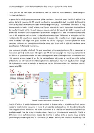 M.Belfiore-Grassi alimentari e malattie neurodegenerative | PDF