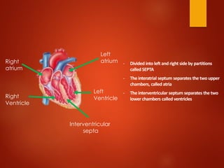 AED Awareness.pdf