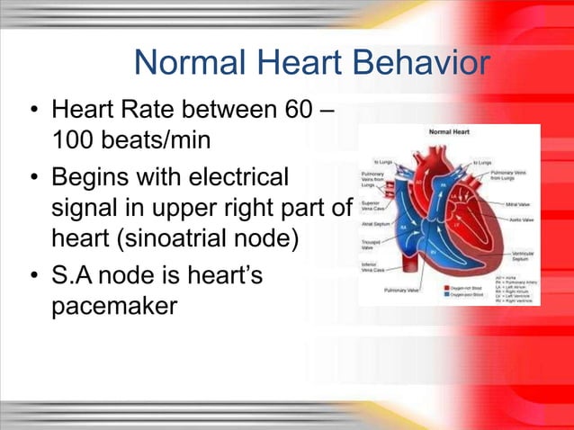 AED & Basic ECG - Full Basic Life Support 2016 | PPT