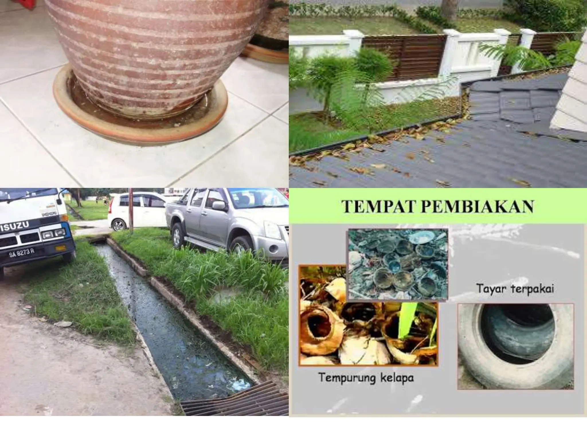 AEDES nyamuknymuaknyakmukwenzi wenzi .pptx