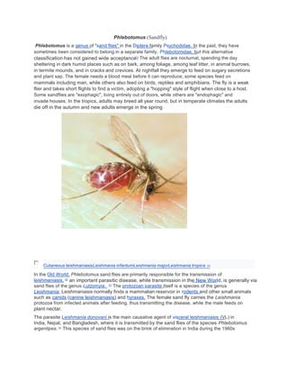 Aedes aegypti edit | PPTX | Infectious Diseases | Diseases and Conditions