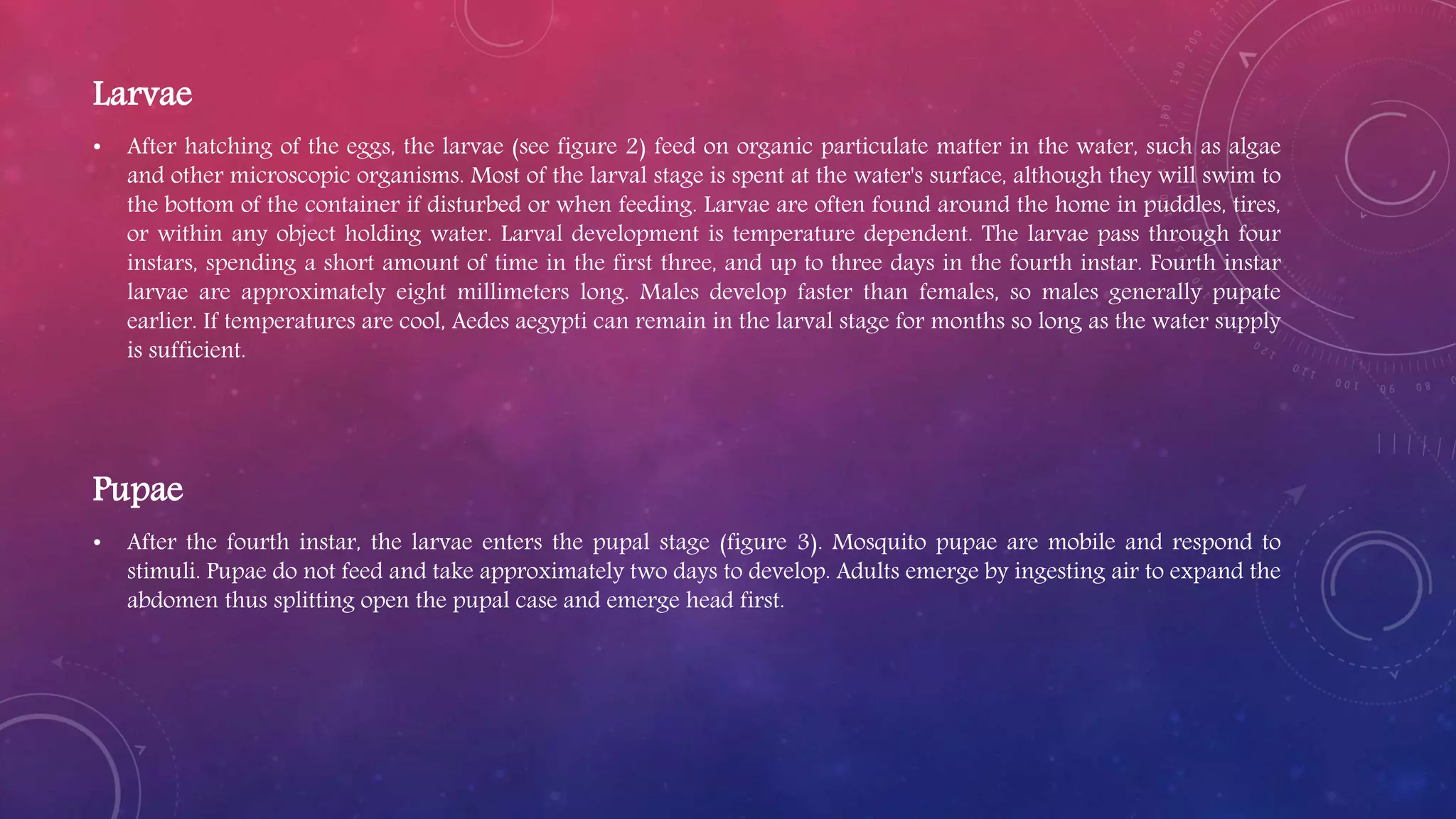 Aedes life cycle | PPTX