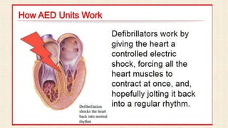 Automated External Defibrillator: Functions Explained.pptx