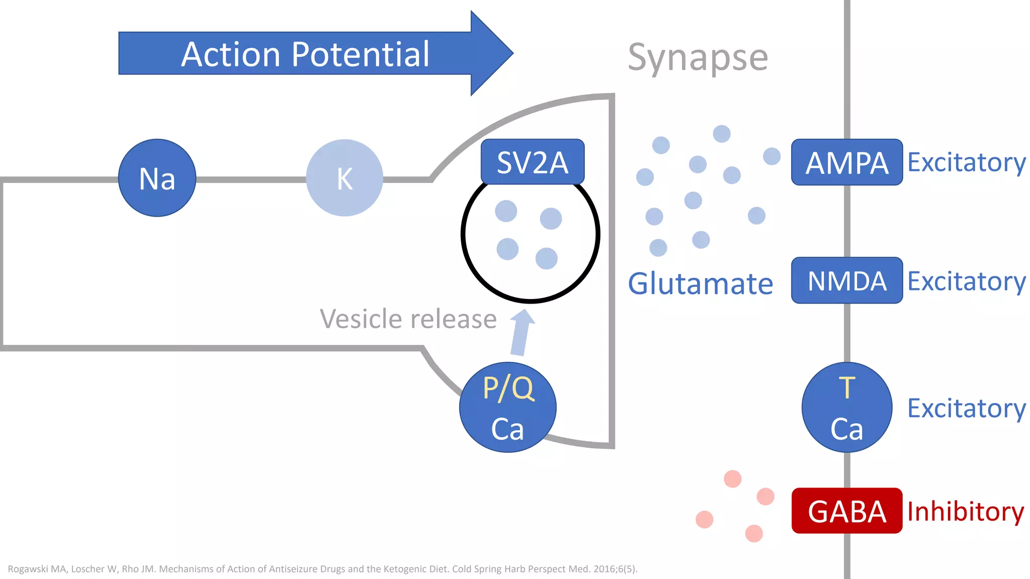 Antiepileptic drug classification and mechanism | PDF