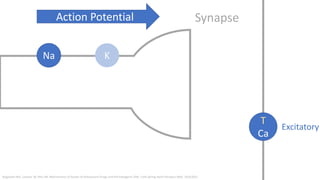 Antiepileptic drug classification and mechanism | PDF