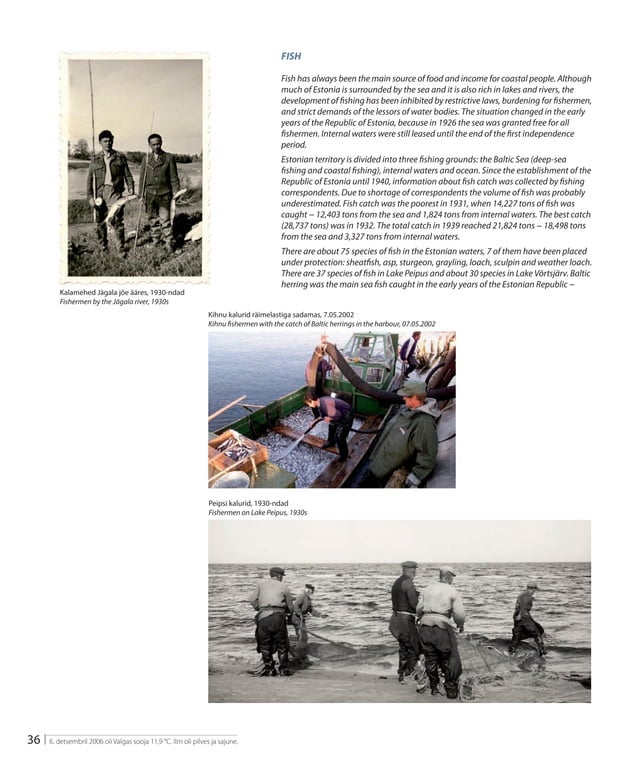 Aegamooda asi kaunis. Statistikavalimik | PDF