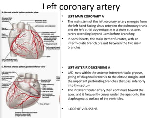 Coronary arteries and veins DR NIKUNJ .R .SHRKHADA (MBBS,MS GEN SURG ...
