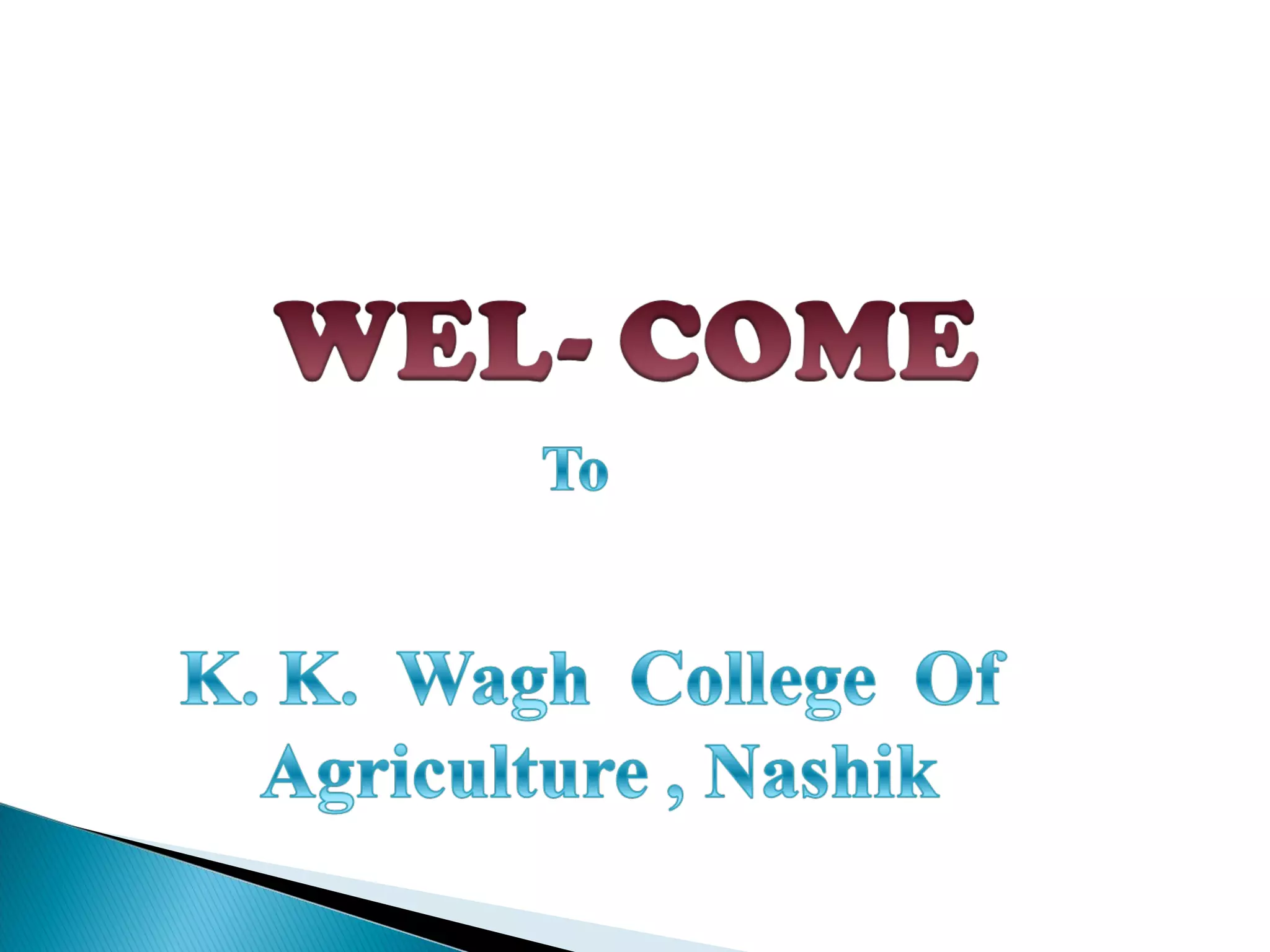 Field Inspection | PPT