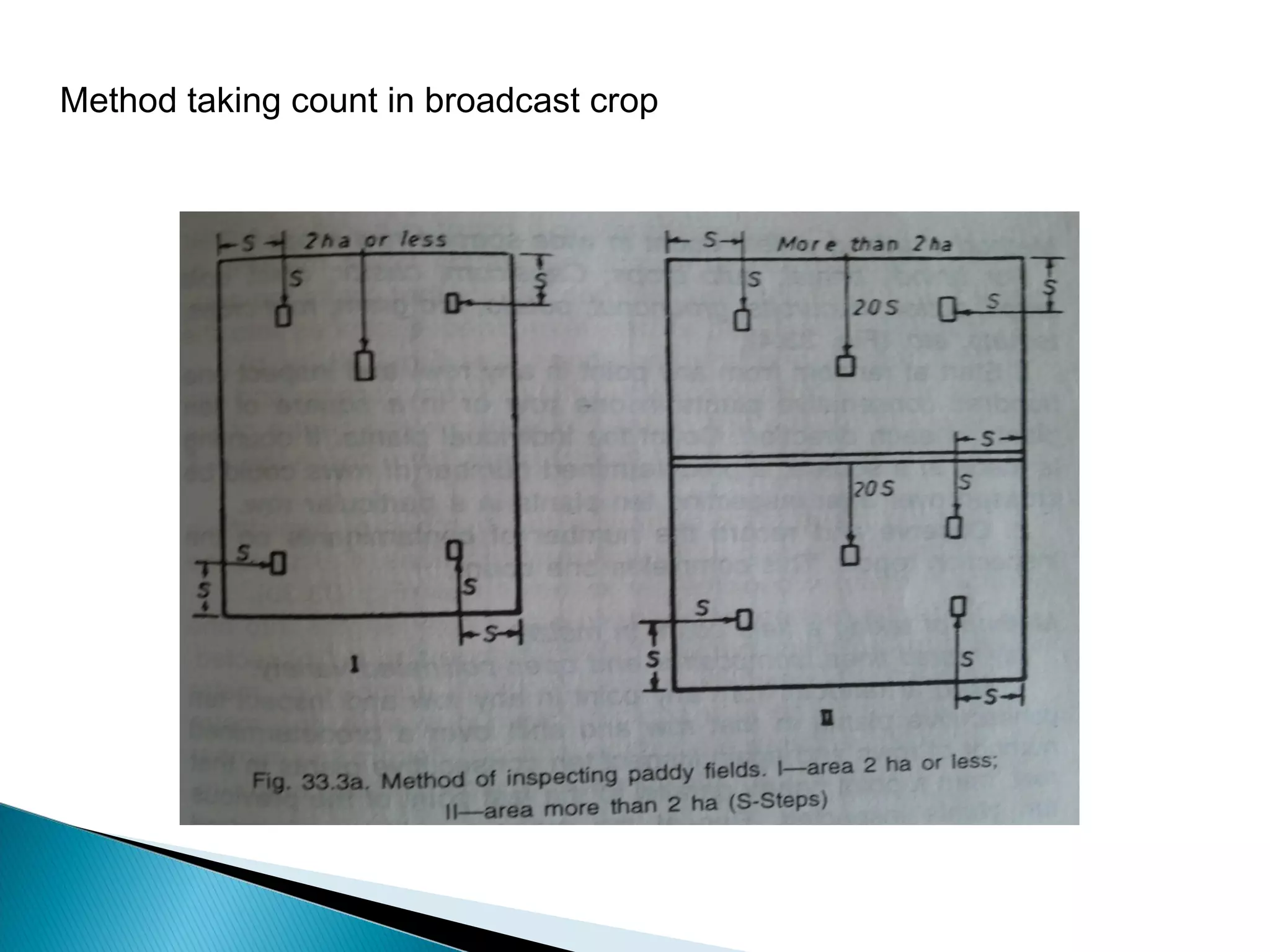 Field Inspection | PPT