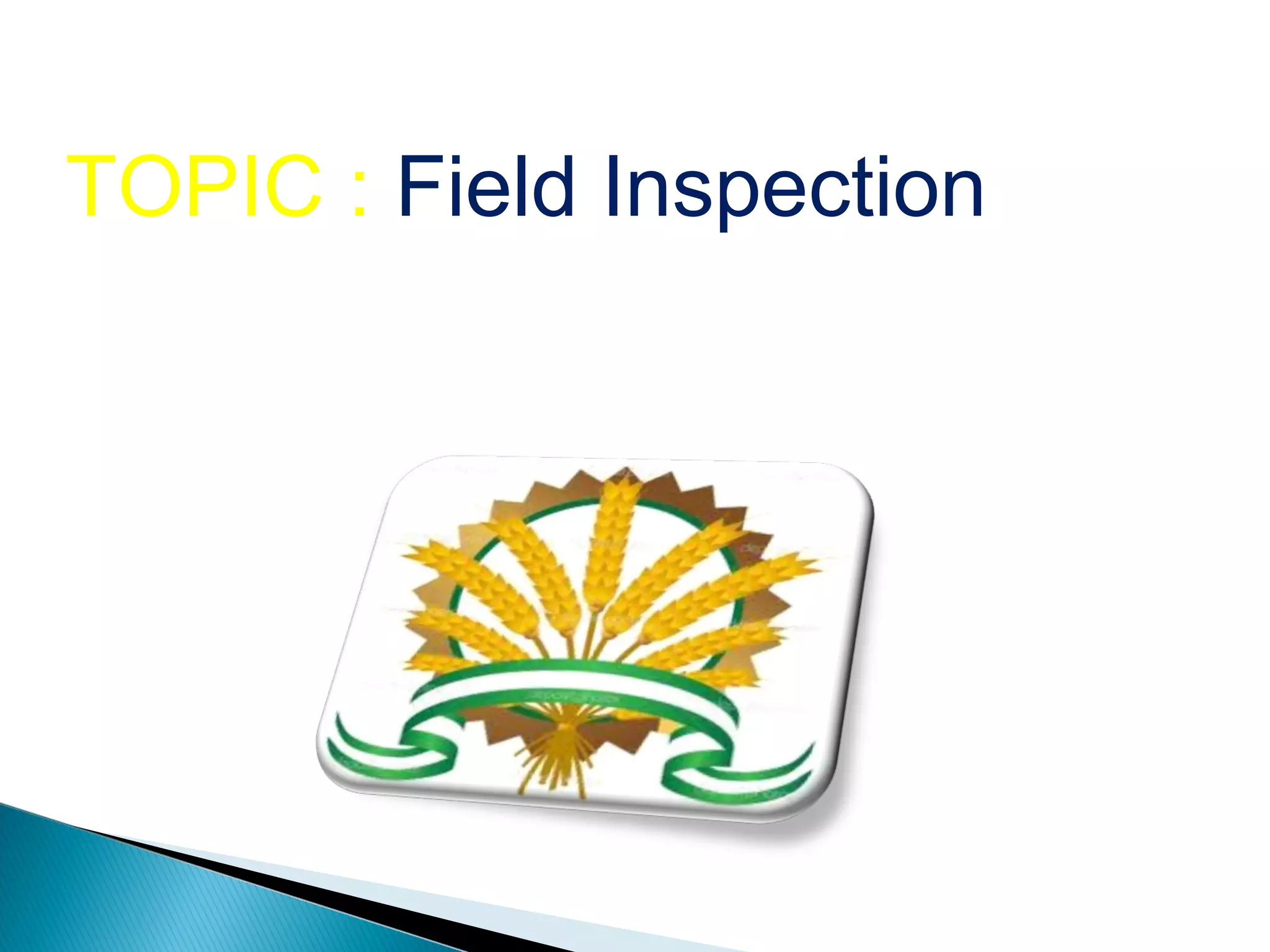 Field Inspection | PPT