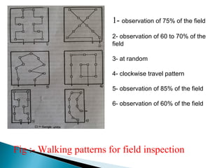 Field Inspection | PPT