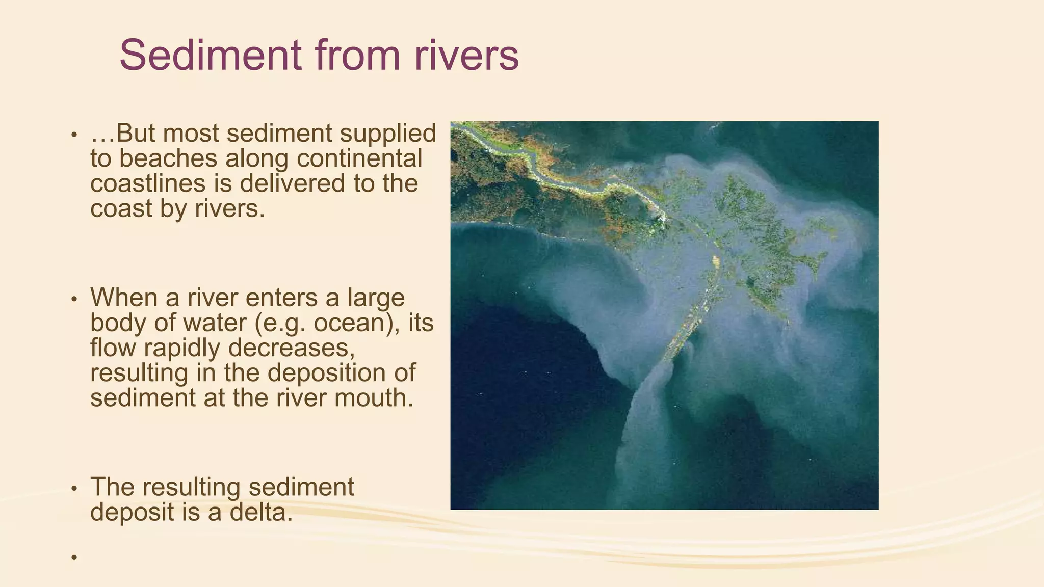 costal structure | PPTX