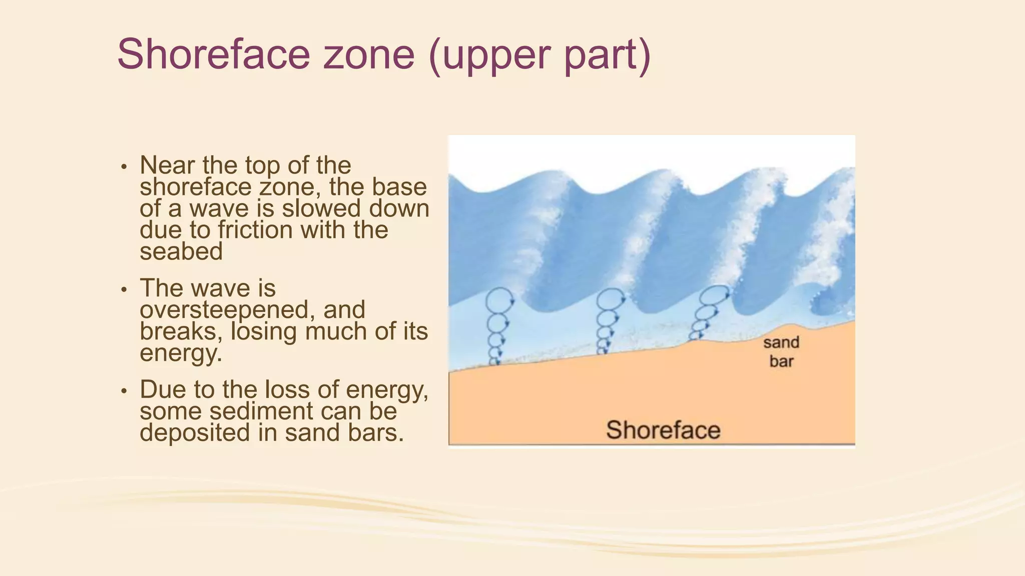 costal structure | PPTX