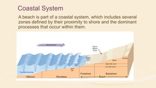 costal structure | PPT