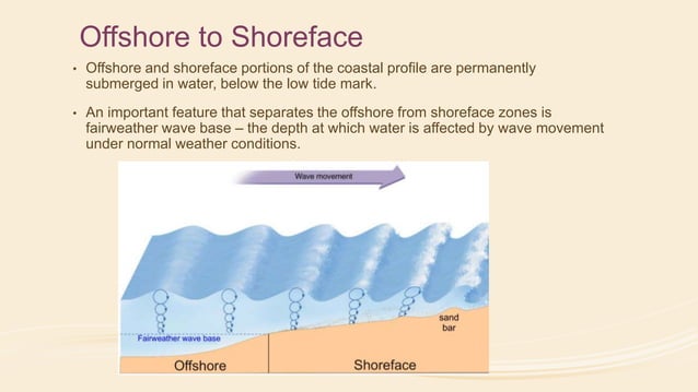 costal structure | PPT