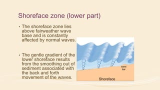 costal structure | PPT